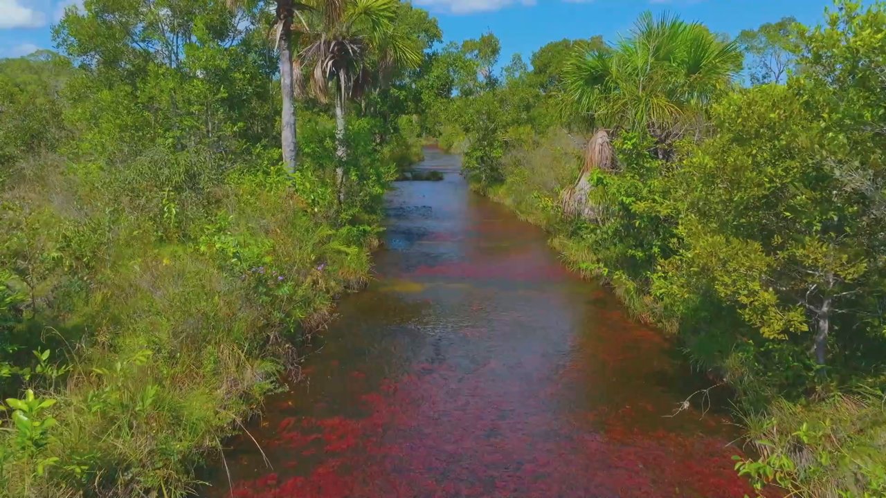 Así suena el río | Trece Plus