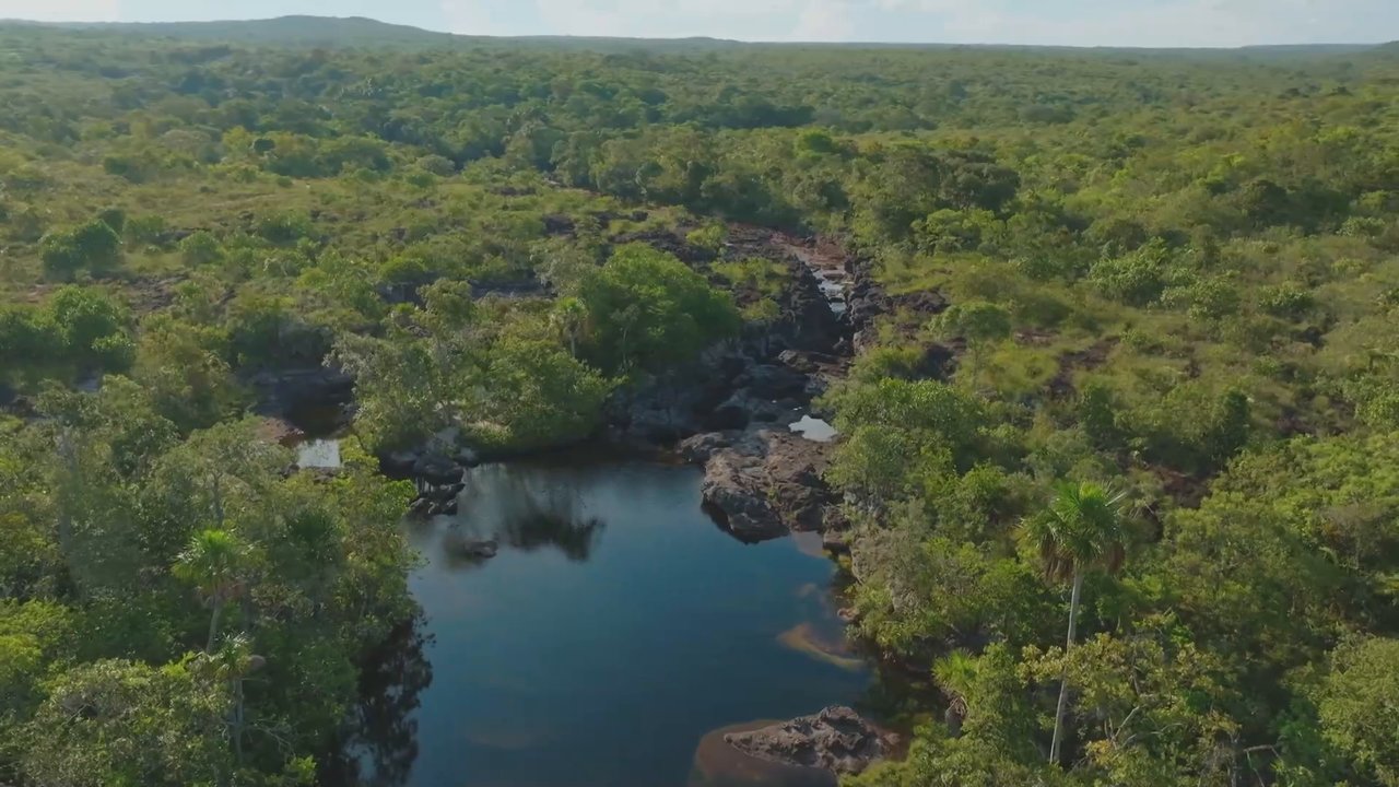 Así suena el río | Trece Plus